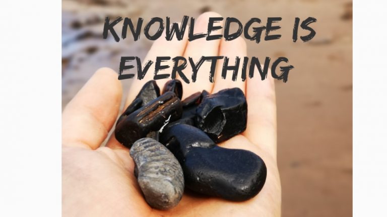 What is Whitby jet? | Geology | Gemmology | Archaeology